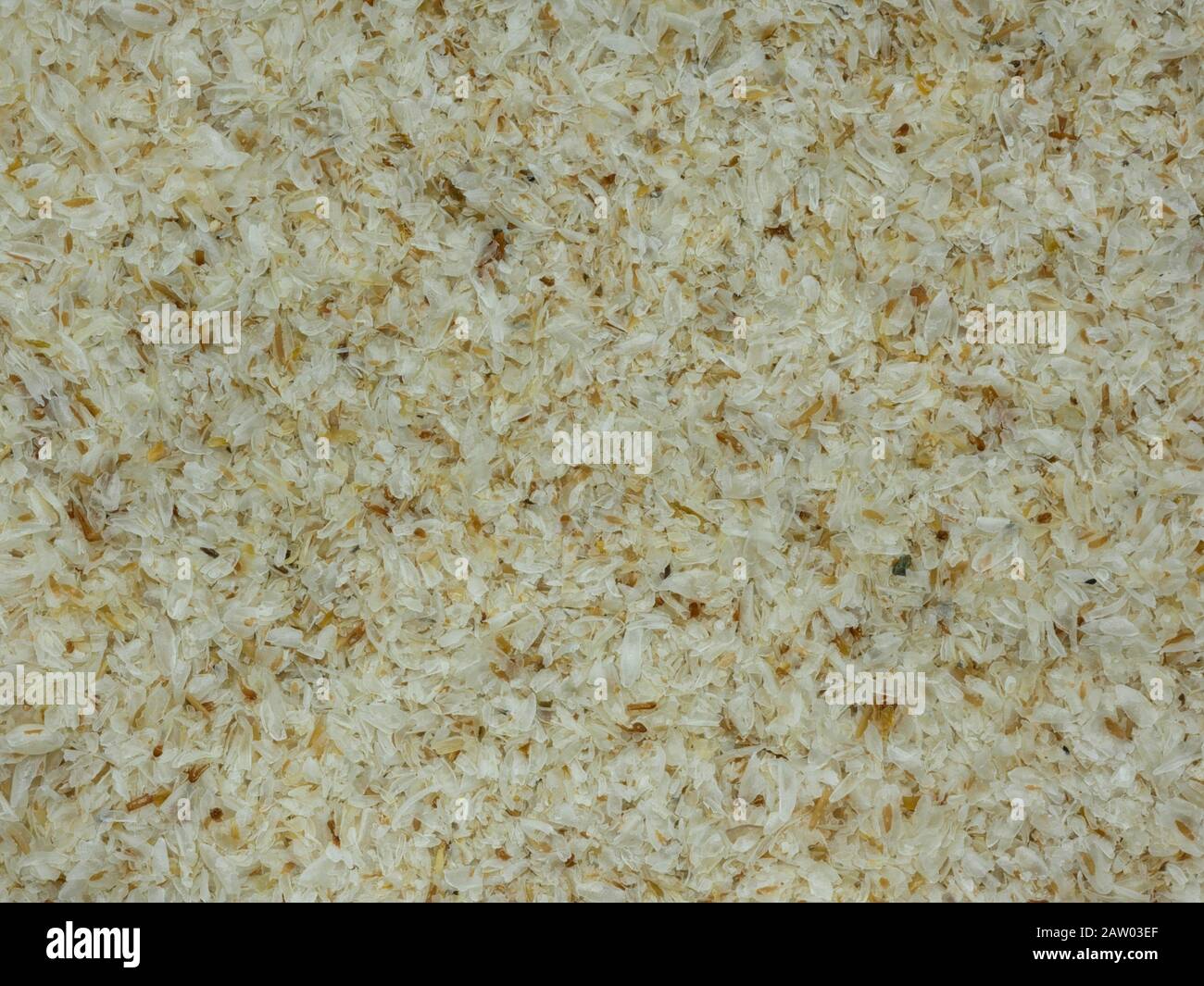 Plantago psyllium hi-res stock photography and images - Alamy