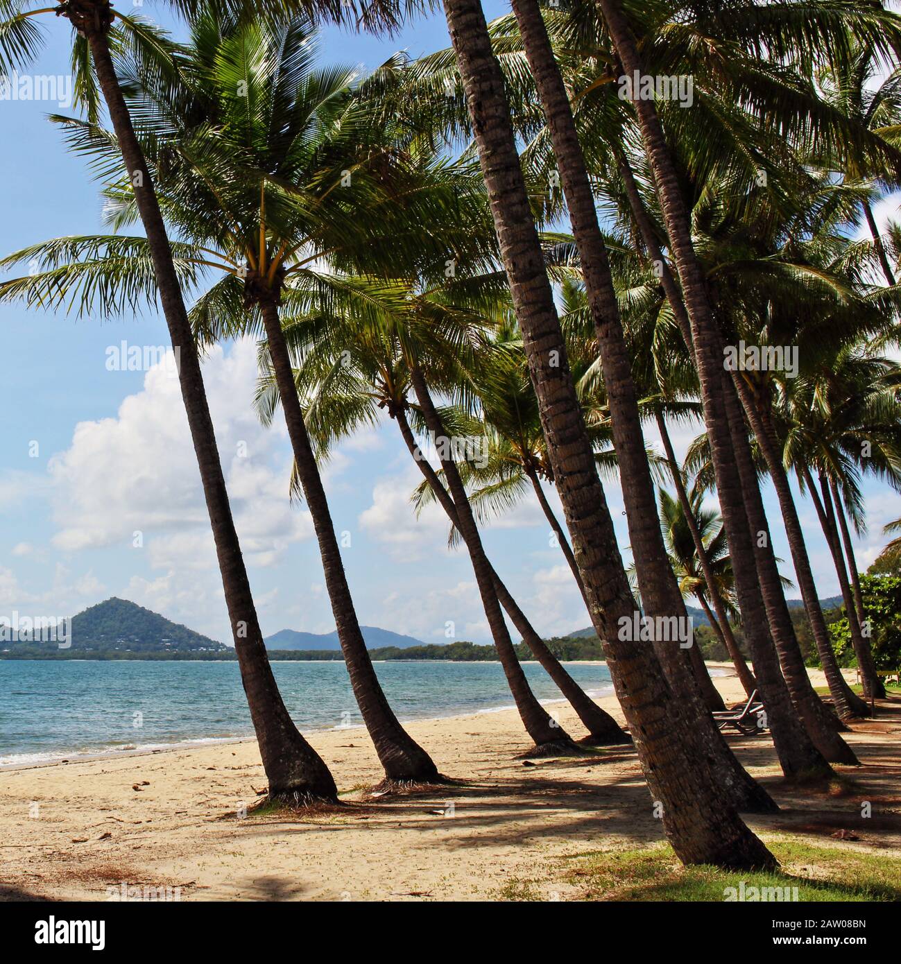 A top view towards Trinity Beach and Cairns so from the palm tree grove ...