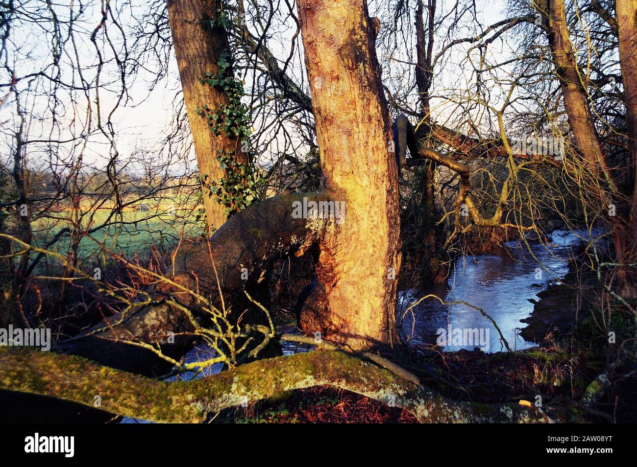 river arrow redditch worcestershire england uk Stock Photo - Alamy