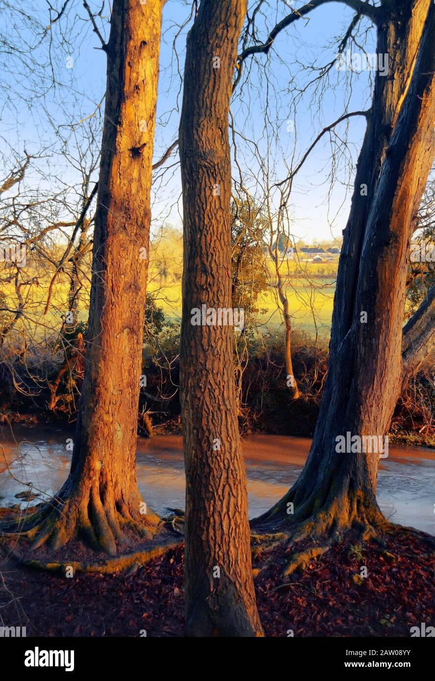 river arrow redditch worcestershire england uk Stock Photo - Alamy
