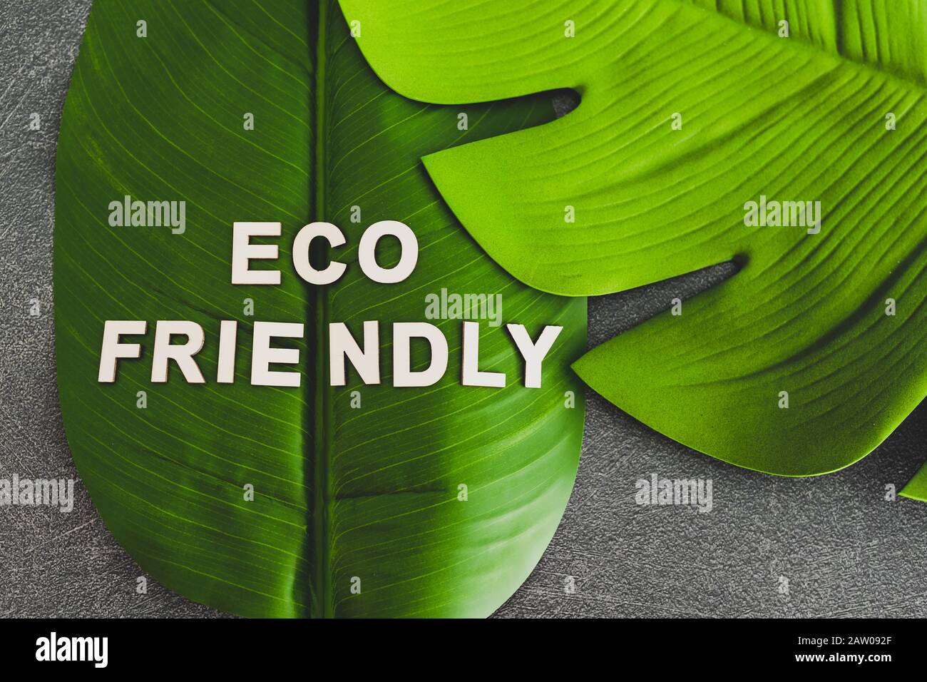 ecology and respect for the environemnt conceptual still-life, Eco ...
