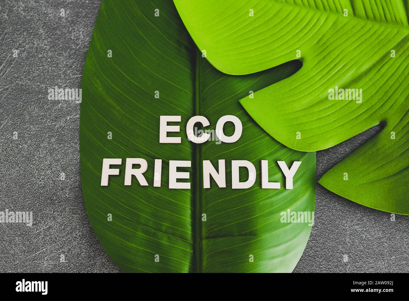 ecology and respect for the environemnt conceptual still-life, Eco ...