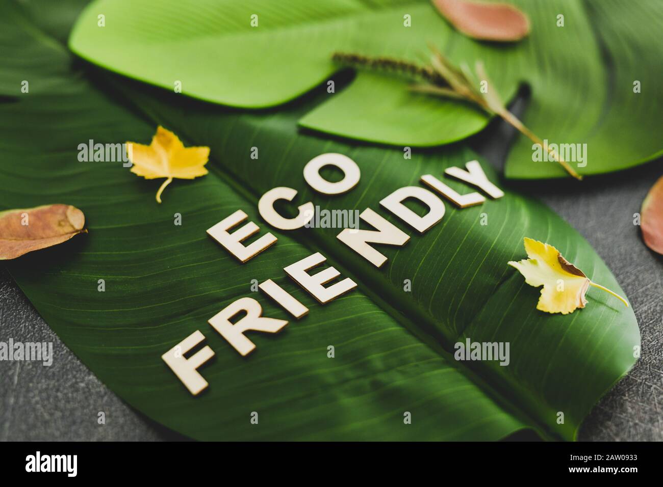 ecology and respect for the environemnt conceptual still-life, Eco ...