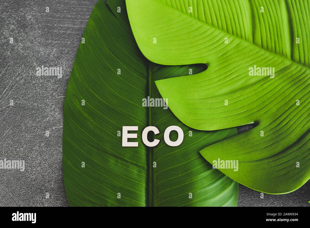ecology and respect for the environemnt conceptual still-life, Eco ...