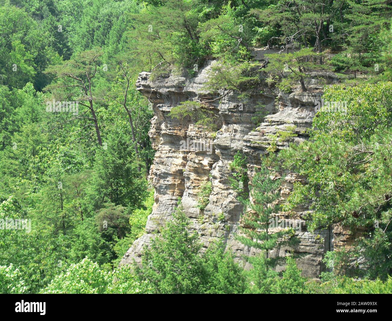 Rim Trail, Conkle's Hollow, Hocking HIlls State Park, Ohio Stock Photo ...