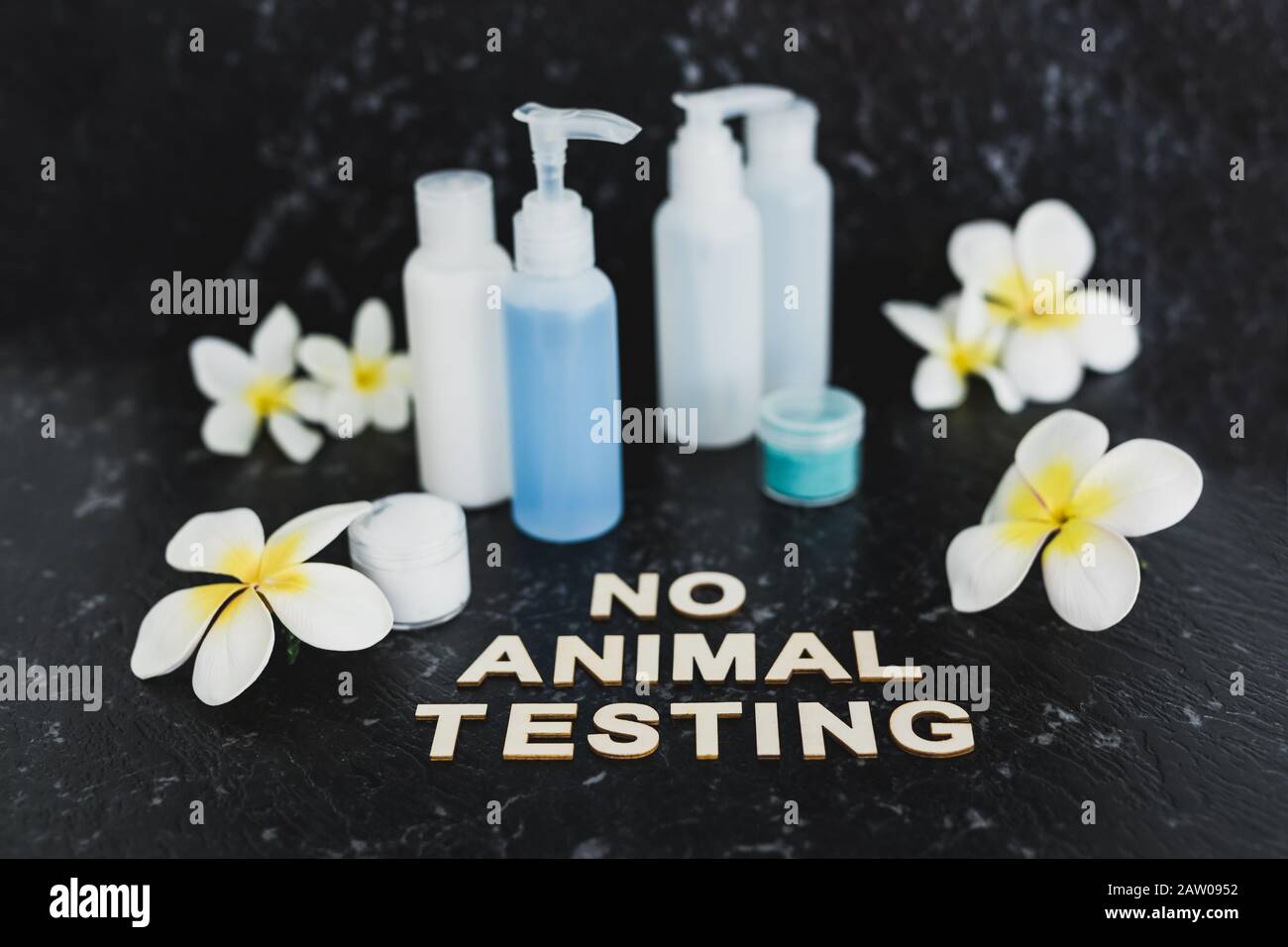 cruelty-free beauty products conceptual still-life, No Animal Testing ...