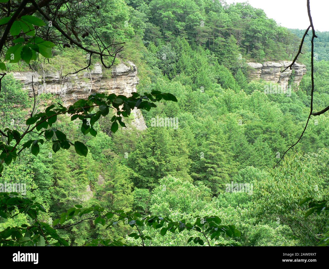 Rim Trail, Conkle's Hollow, Hocking HIlls State Park, Ohio Stock Photo ...