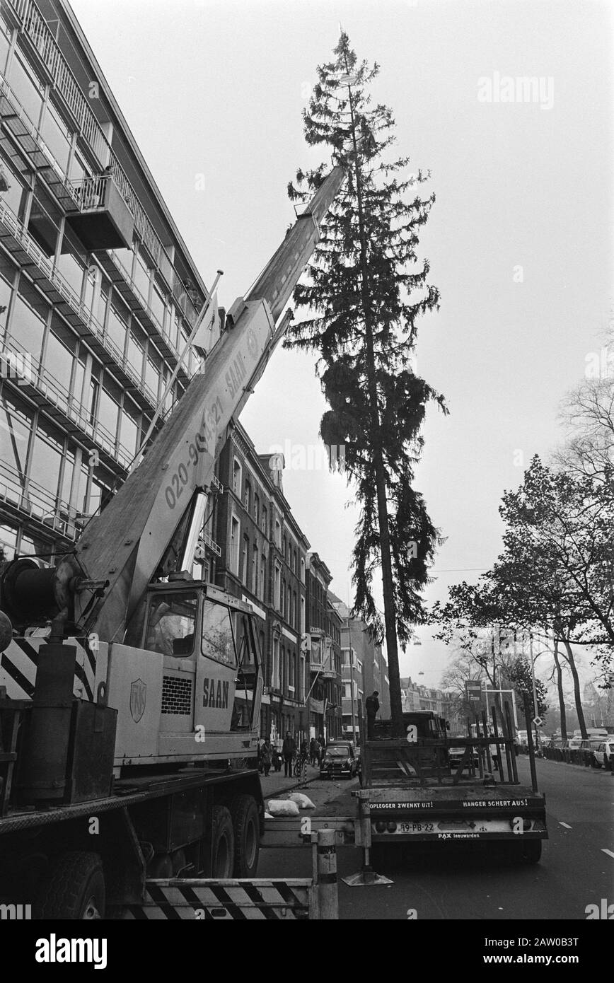 Acid rain affected 26 meter high tree on Stadhouderskade at Nieuwe Revu ...