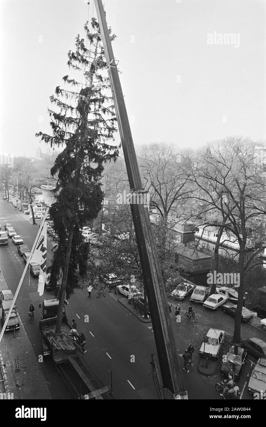 Acid rain affected 26 meter high tree on Stadhouderskade at Nieuwe Revu ...