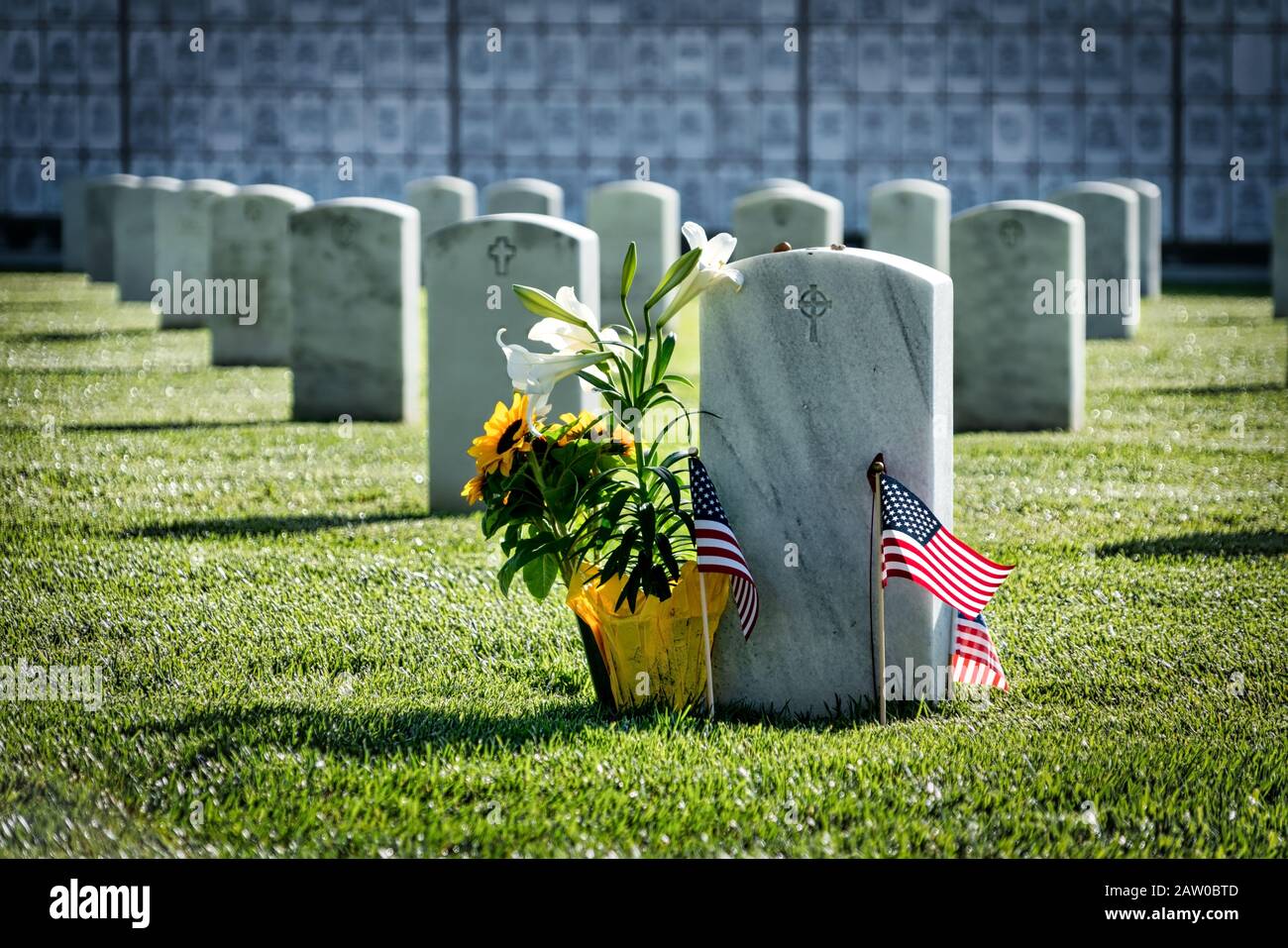 American flags fly over the grave of veteran in southern California ...