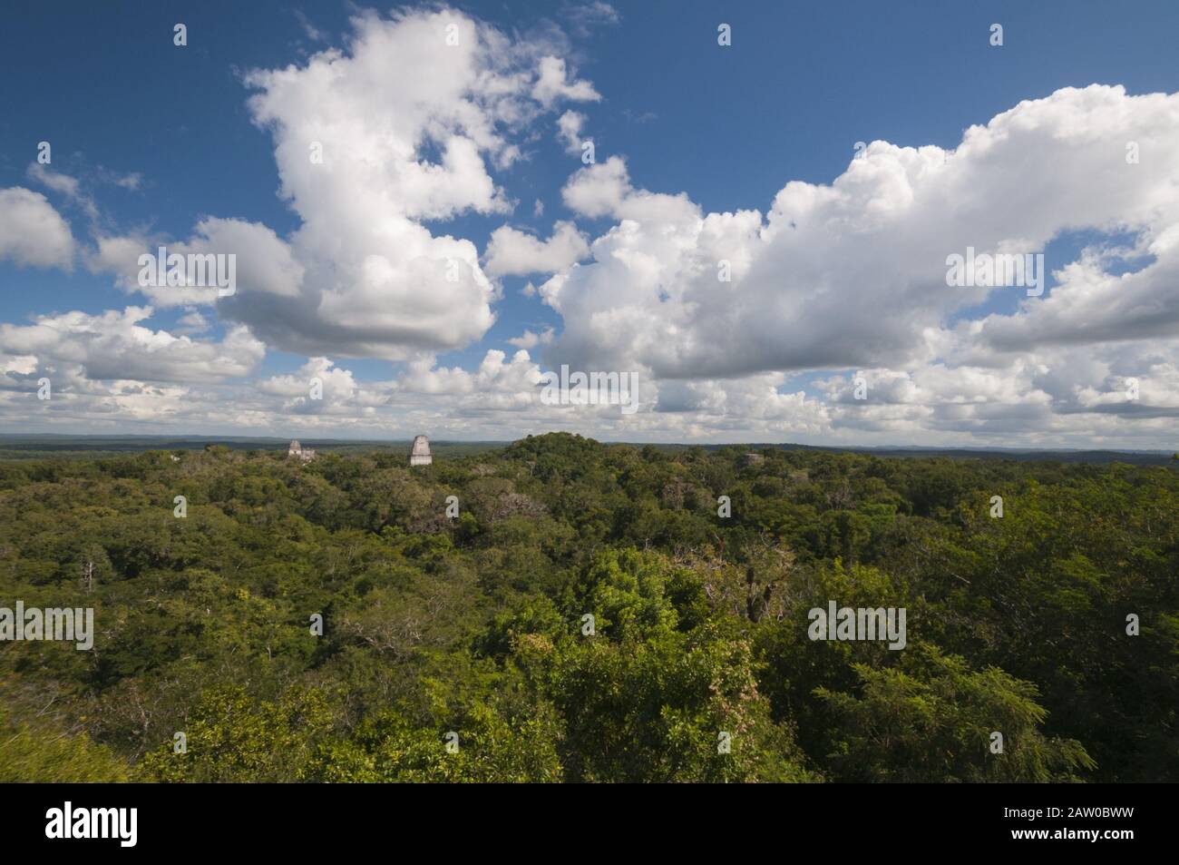 Guatemala, Tikal National Park, site and landscape overview view from ...