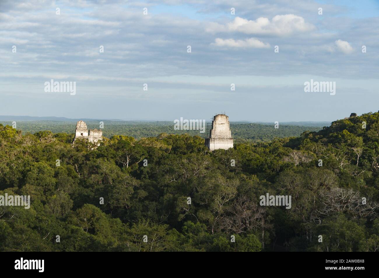 Guatemala, Tikal National Park, site and landscape overview view from ...