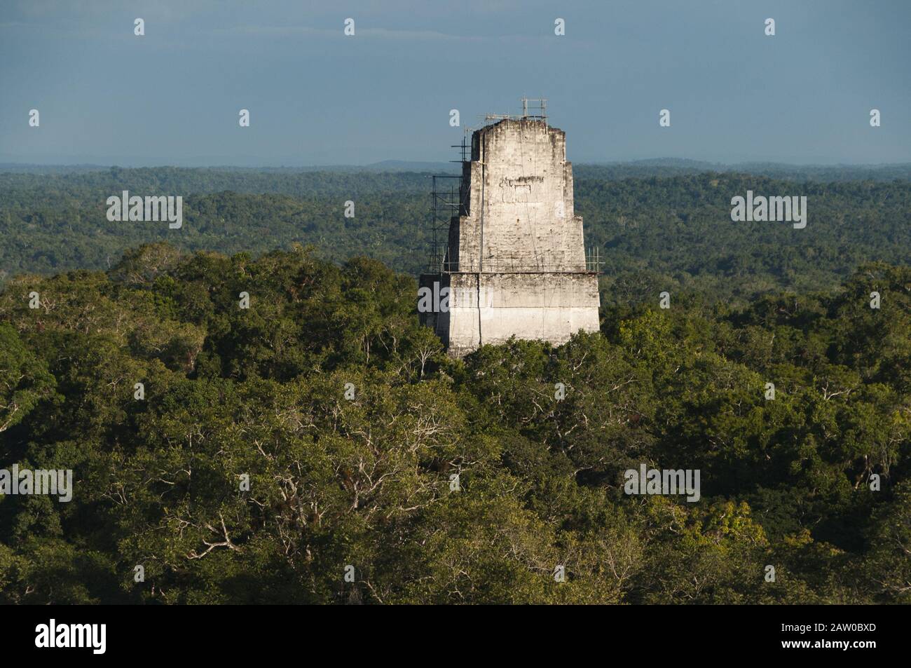 Guatemala, Tikal National Park, site and landscape overview view from ...