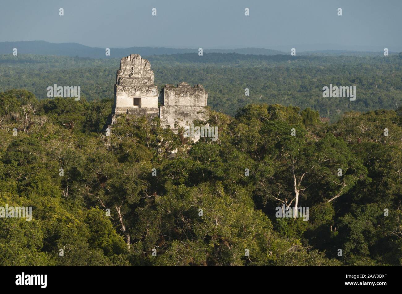 Guatemala, Tikal National Park, site and landscape overview view from ...