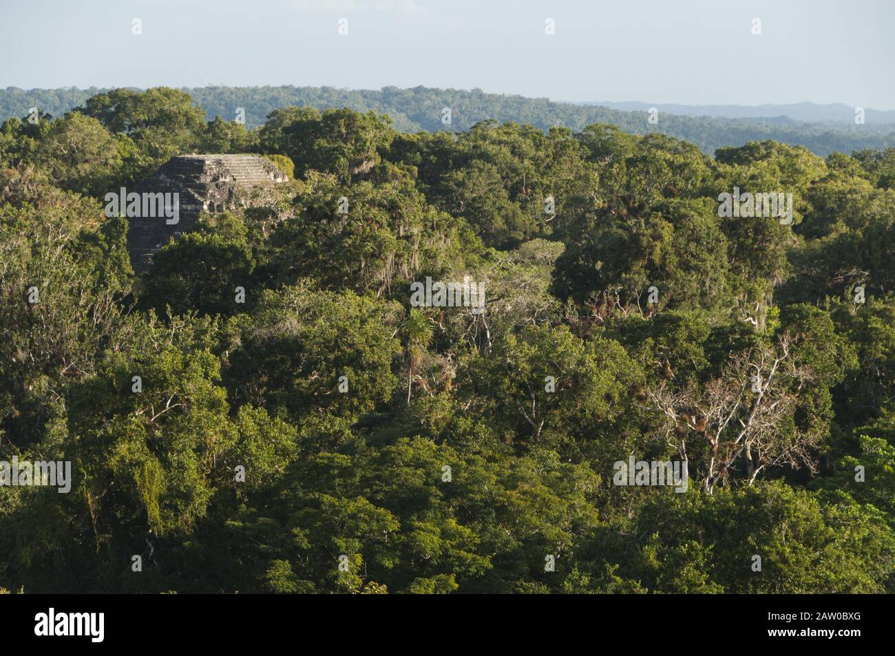 Guatemala, Tikal National Park, site and landscape overview view from ...