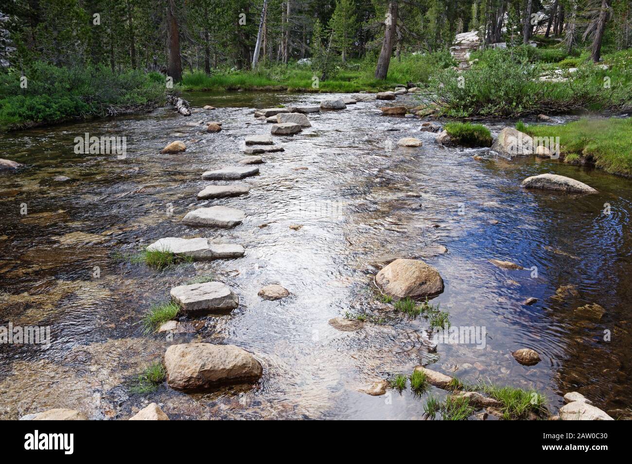 Stepping stones path hi-res stock photography and images - Alamy