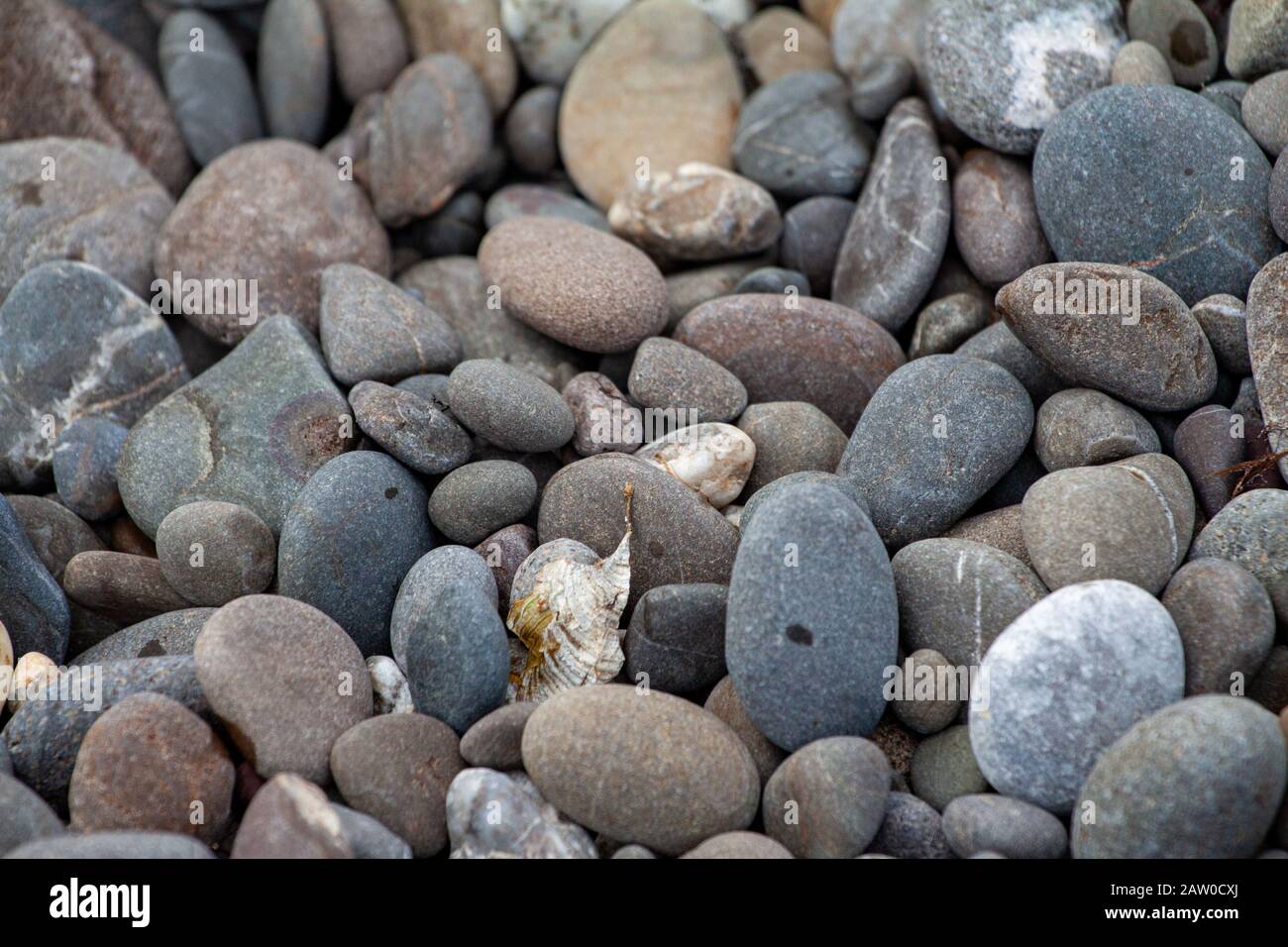 sea pebbles colored granite on the beach background stones. The shore ...