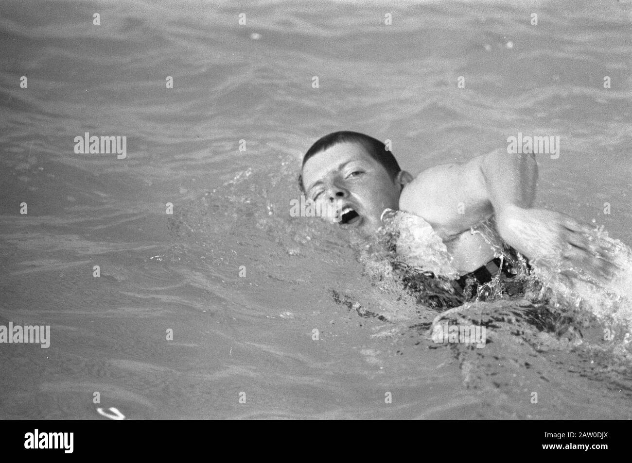 National Winter Swimming Championships in The Hague, hansje bunschoten ...