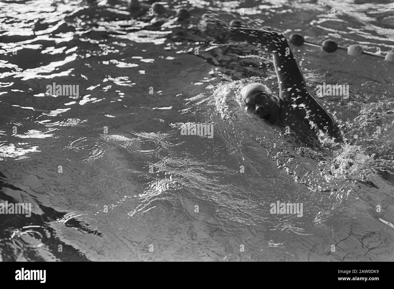 national winter swimming championships Utrecht; Enith Brigitha in ...