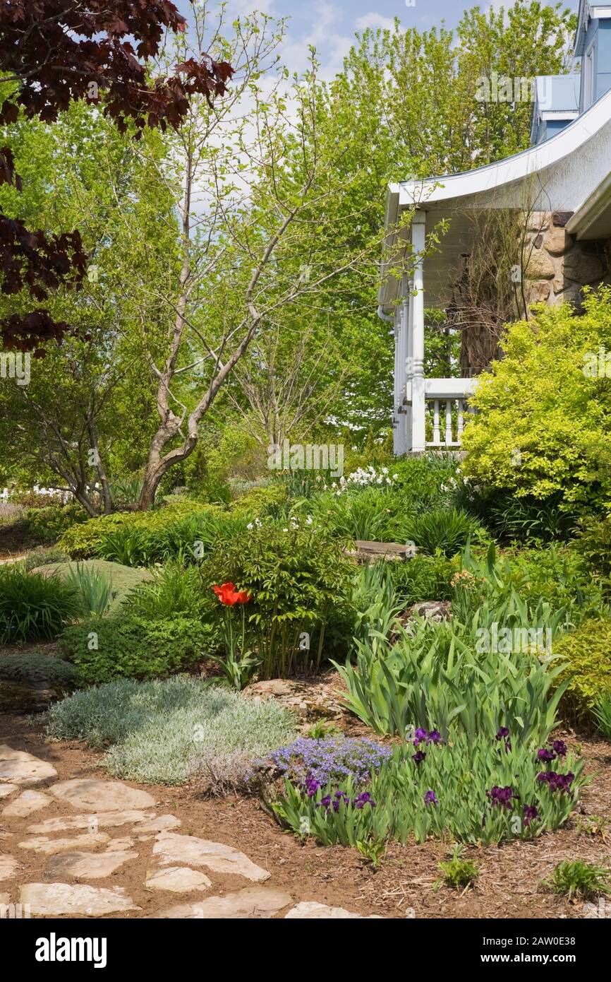 Red And Lavender Flower Border Garden
