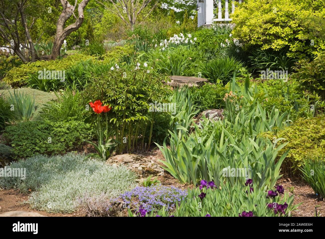 Red And Lavender Flower Border Garden