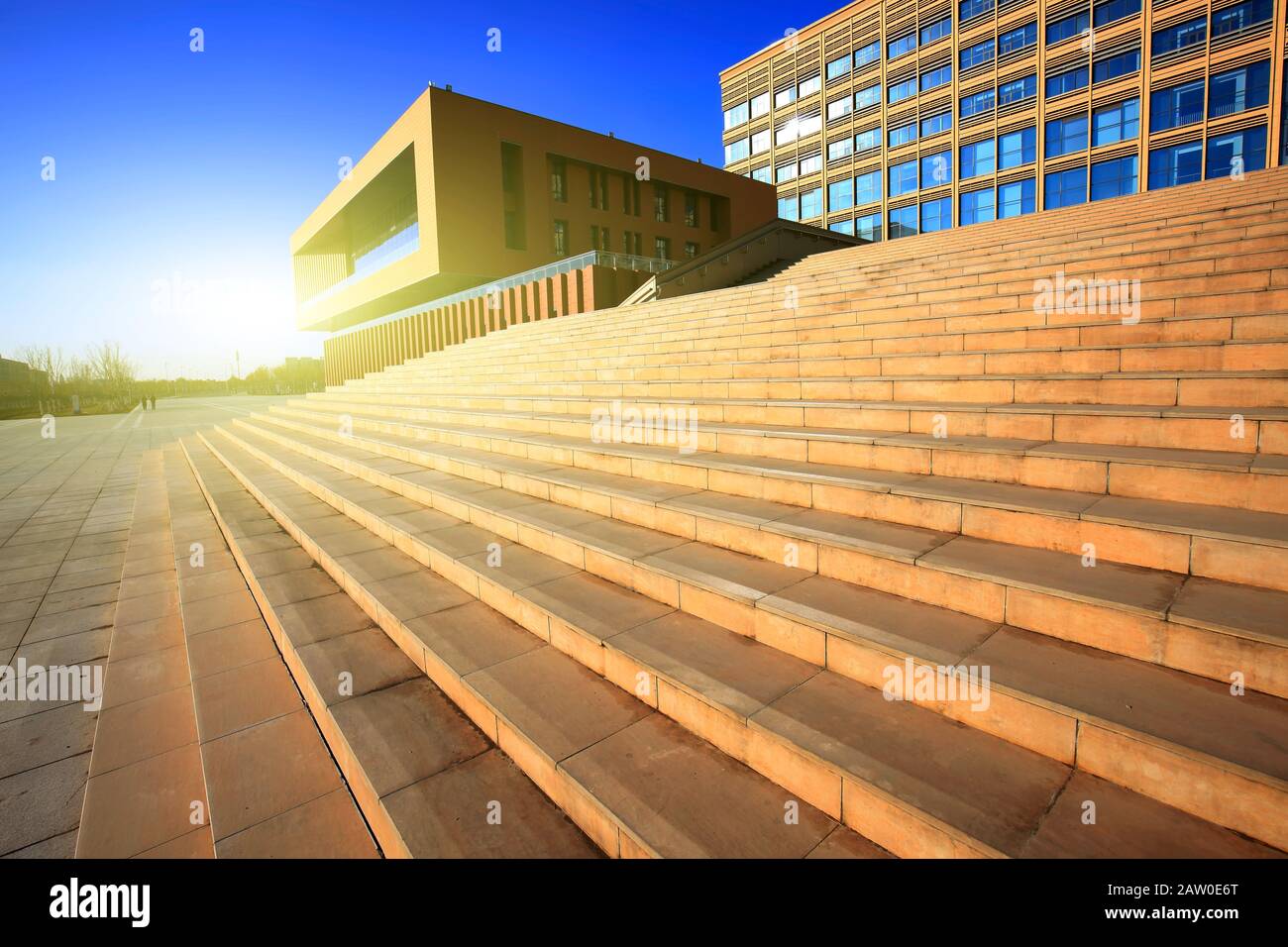 Modern library ladder hi-res stock photography and images - Alamy