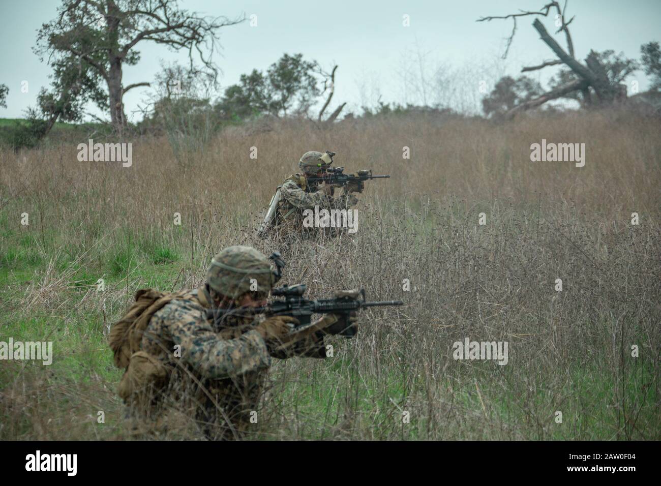 U.S. Marines with 2nd Battalion, 1st Marine Regiment, 1st Marine ...