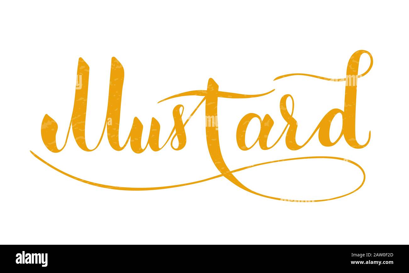 Vector hand written mustard text isolated on white background. Kitchen ...