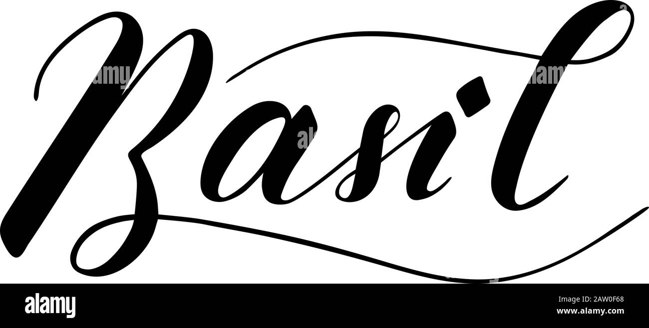 Vector hand written basil text isolated on white background. Kitchen ...