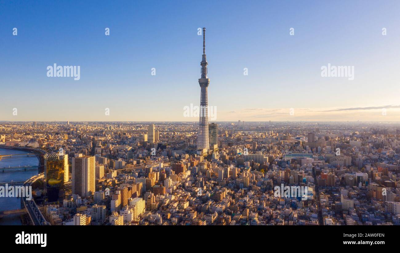 Panorama view Sunrise of Tokyo City Skyline,Japan Stock Photo - Alamy