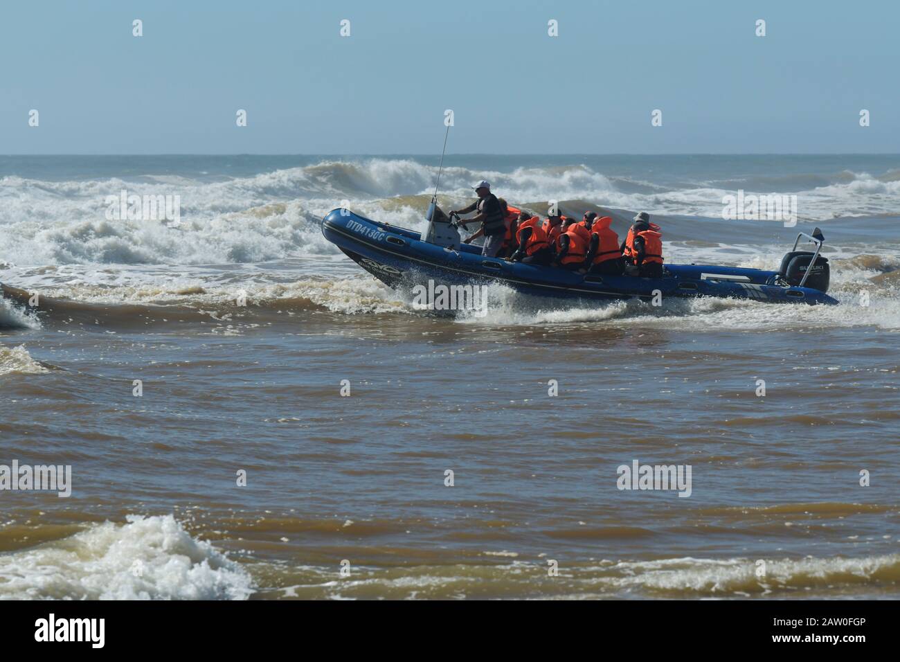 KwaZulu-Natal, South Africa, boat, people, skipper at controls of RIB ...