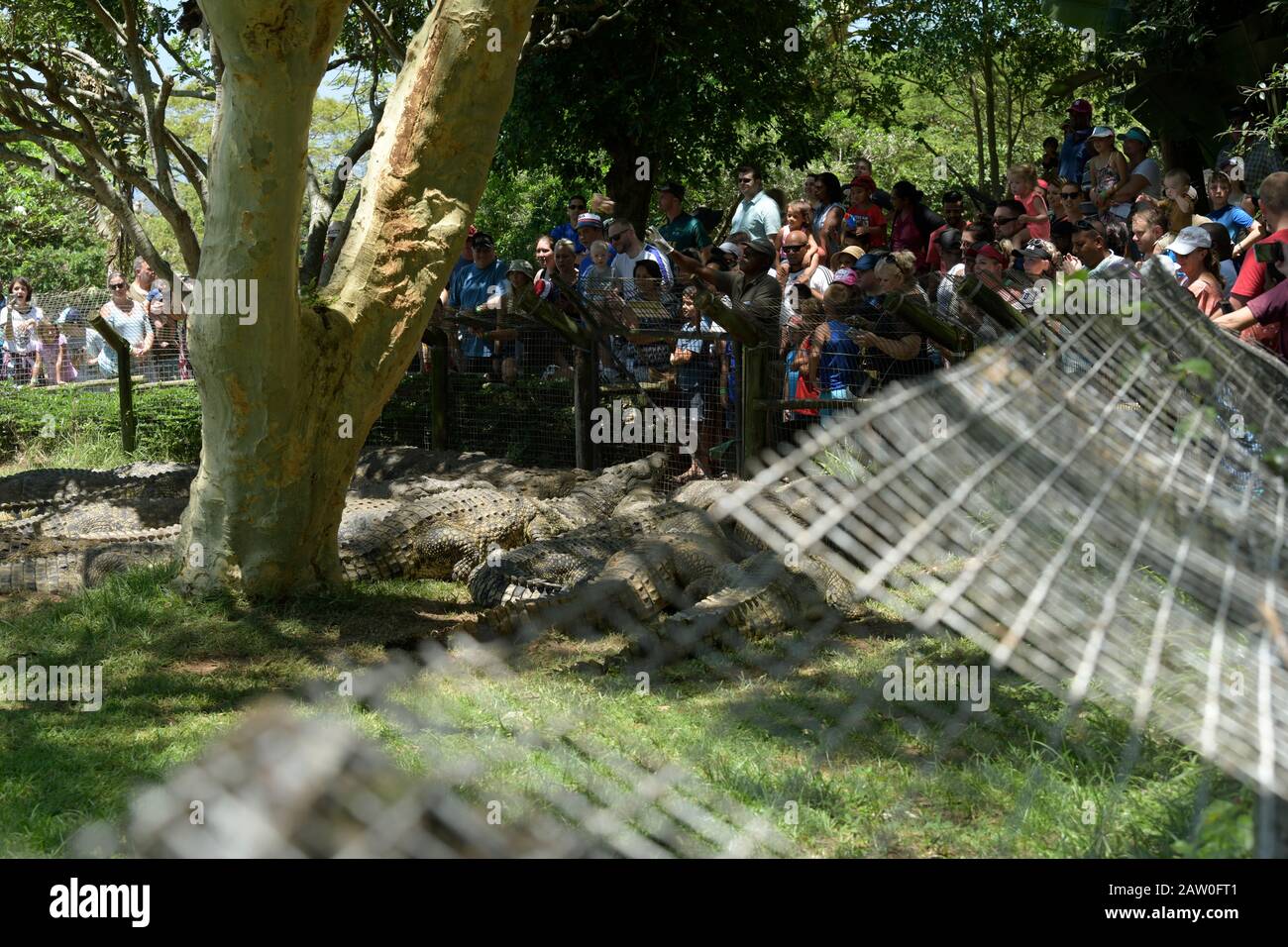 Crocworld conservation centre hi-res stock photography and images - Alamy
