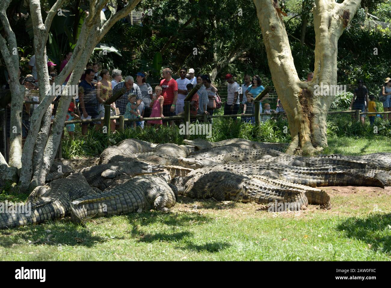 Scottburgh, KwaZulu-Natal, South Africa, wildlife, people in family ...