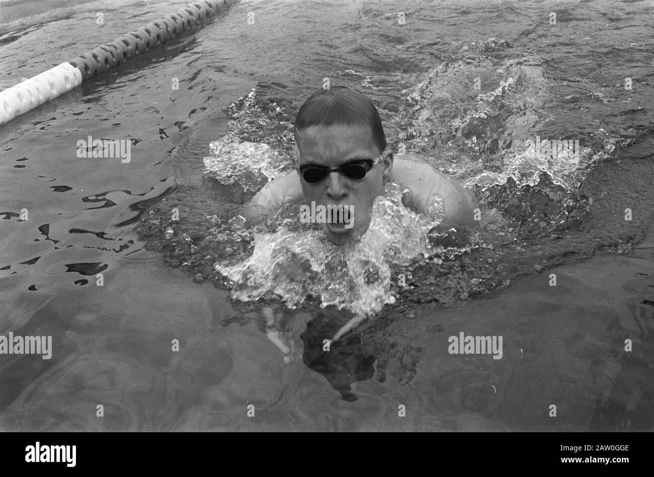 1973 robin hi-res stock photography and images - Alamy