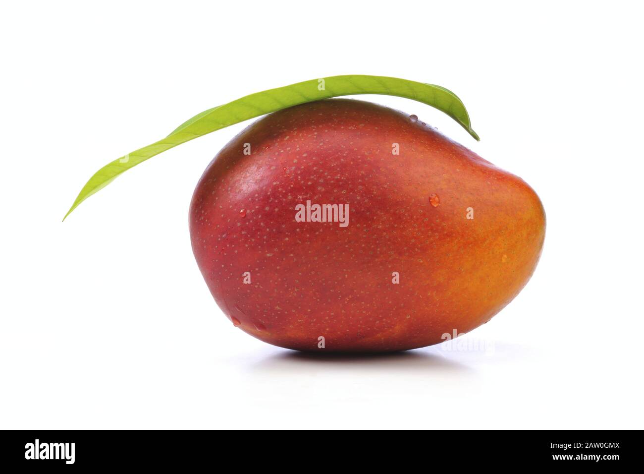 Irwin mango on the white background Stock Photo - Alamy