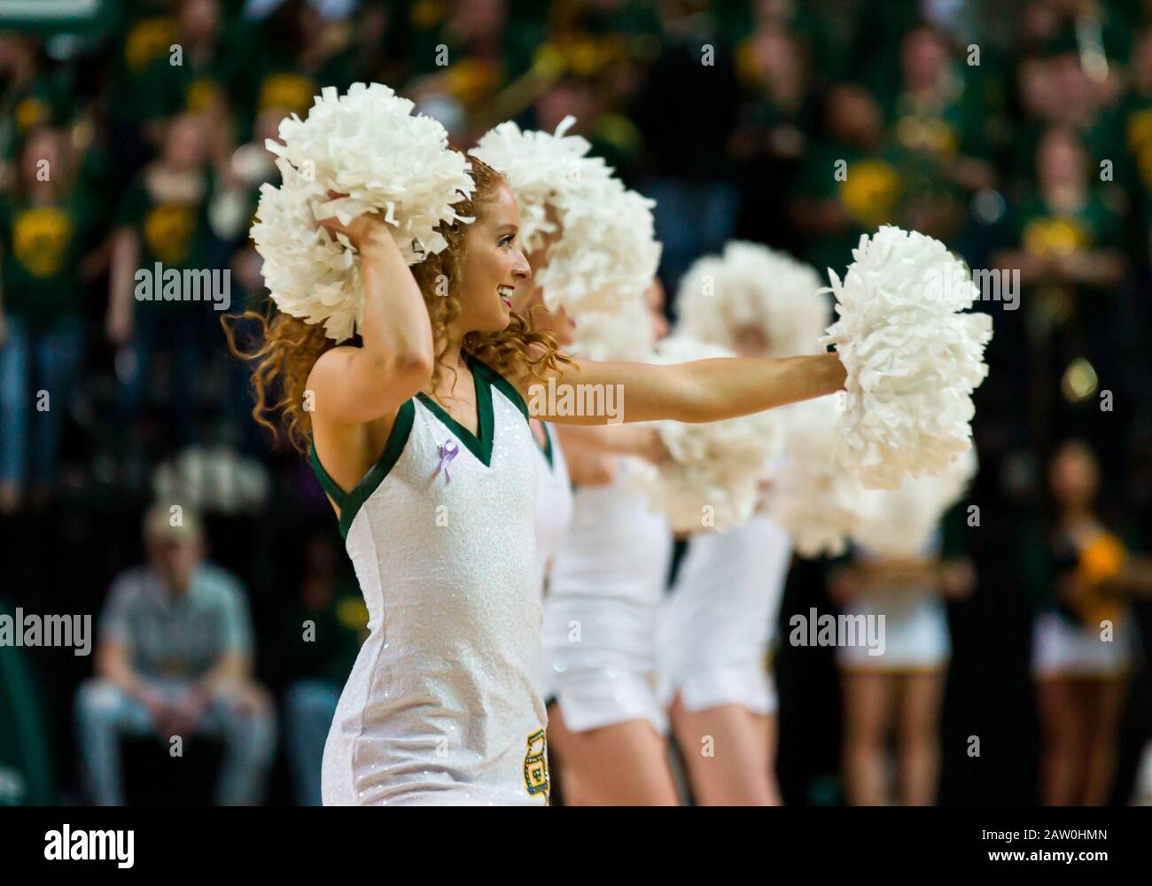 Waco, Texas, USA. 5th Feb, 2020. Baylor Lady Bears cheerleaders perfume ...