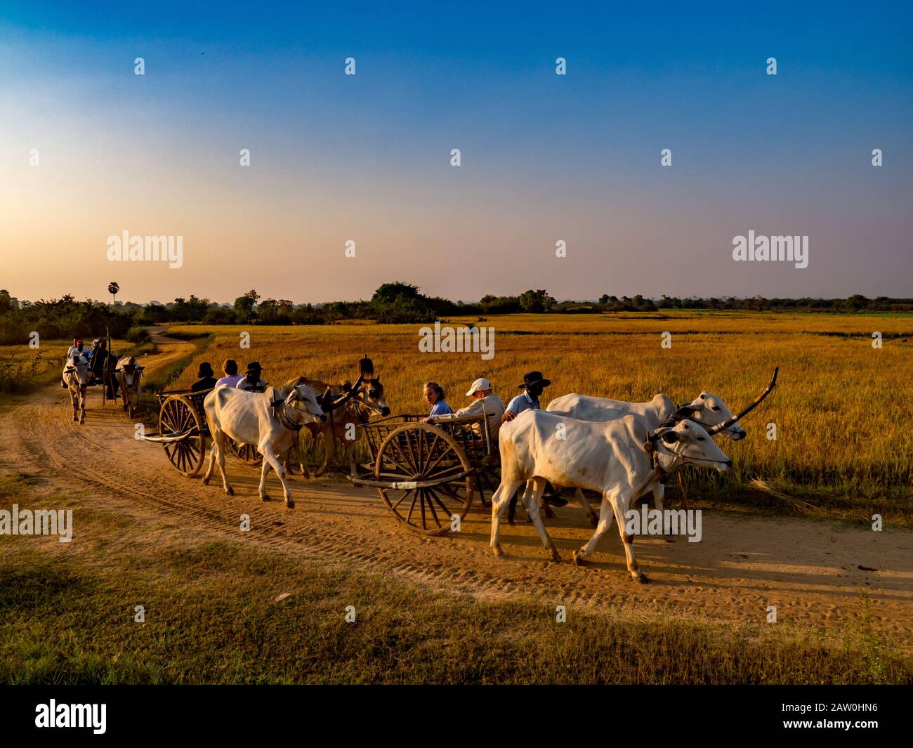 Rice transport hi-res stock photography and images - Alamy
