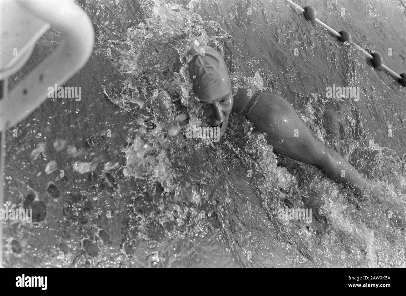 Dutch National Championships Swimming High Resolution Stock Photography ...