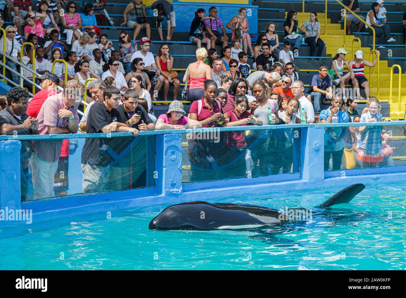 Miami Florida,Key Biscayne,Miami Sea waterquarium,Lolita,killer whale ...