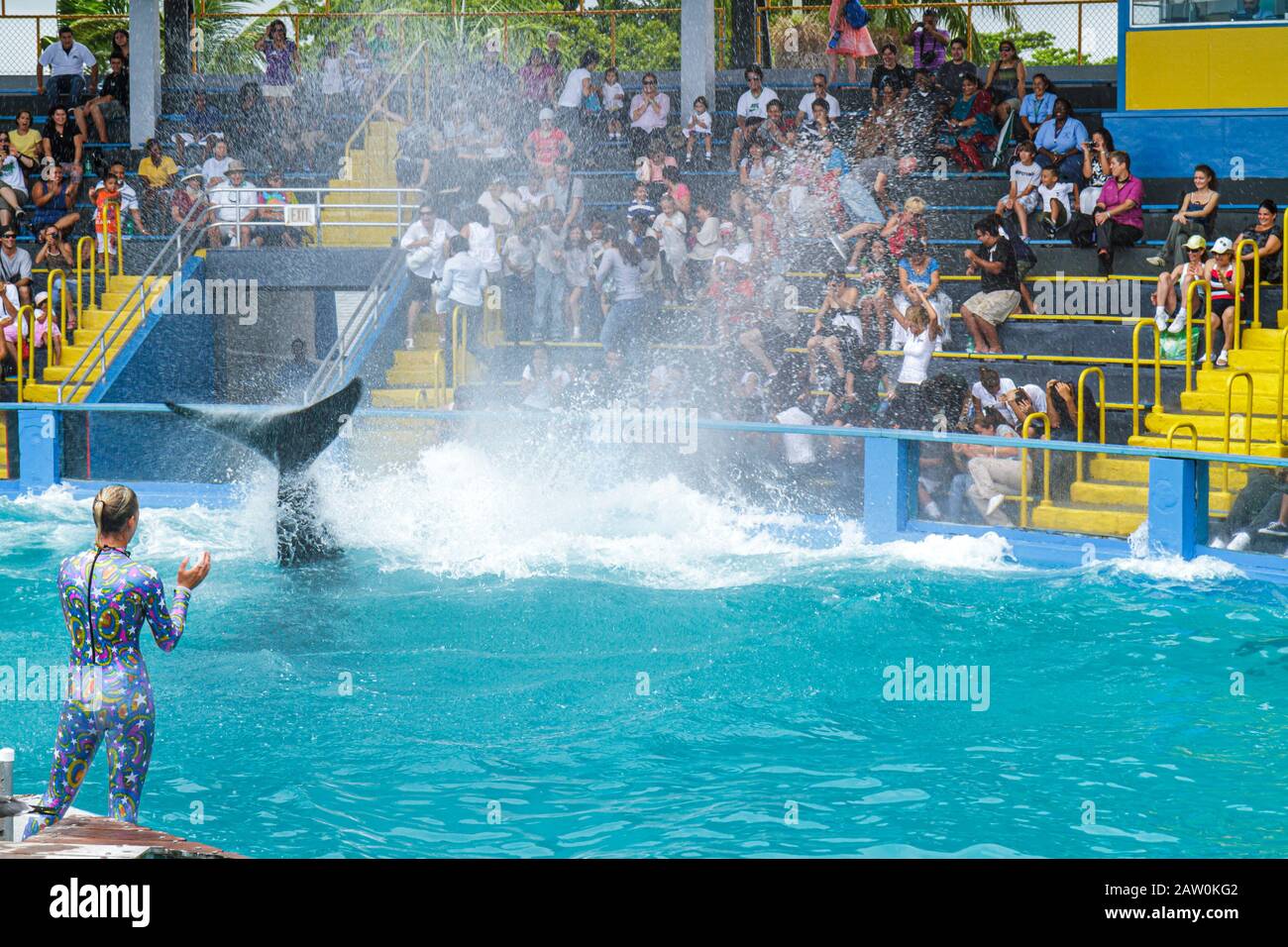 Miami Florida,Key Biscayne,Miami Sea waterquarium,Lolita,killer whale ...