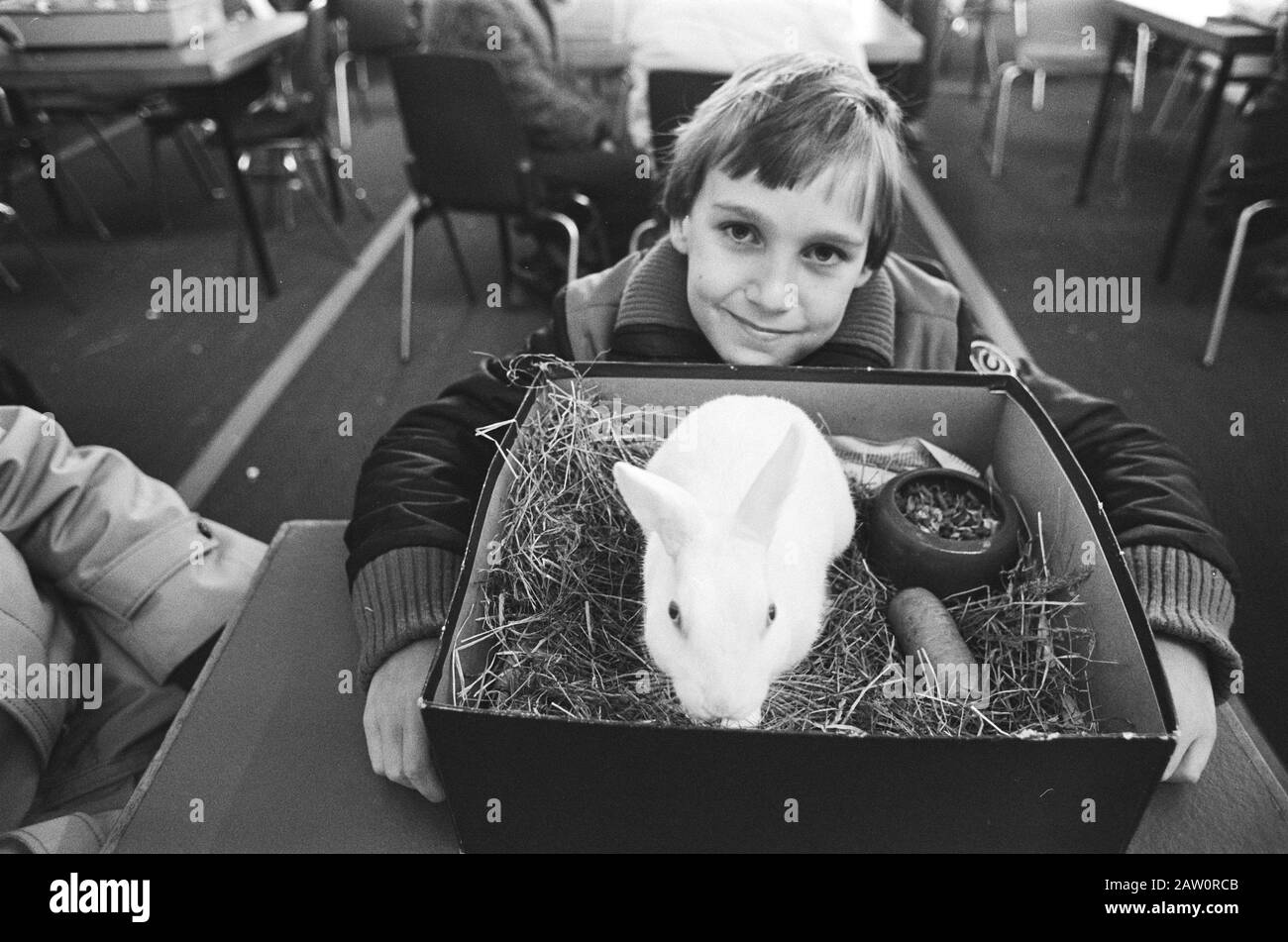 Small Animals Exhibition at RAI; boy rabbit Date: November 25, 1978 ...