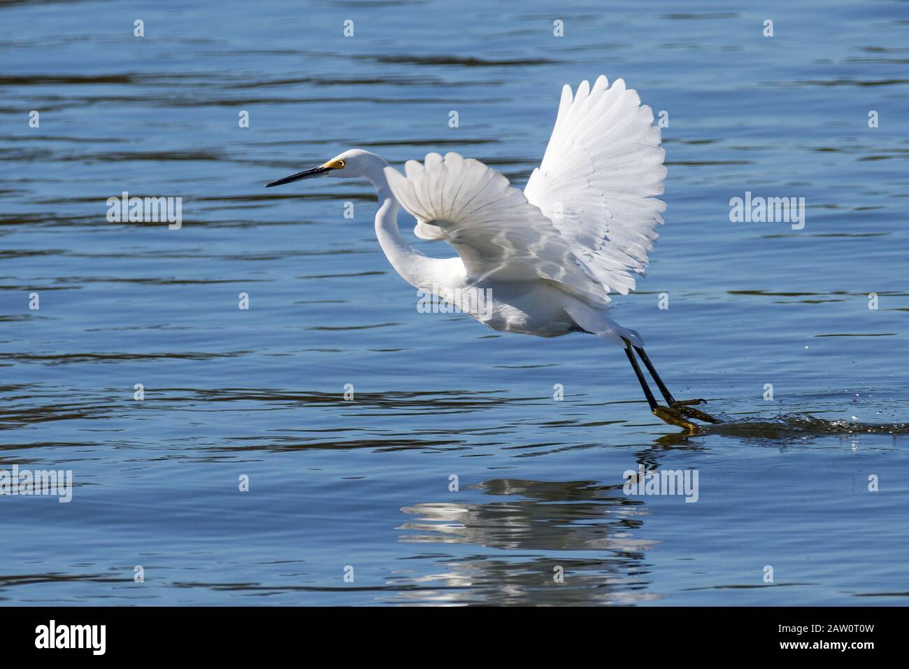 Balboa landing hi-res stock photography and images - Alamy