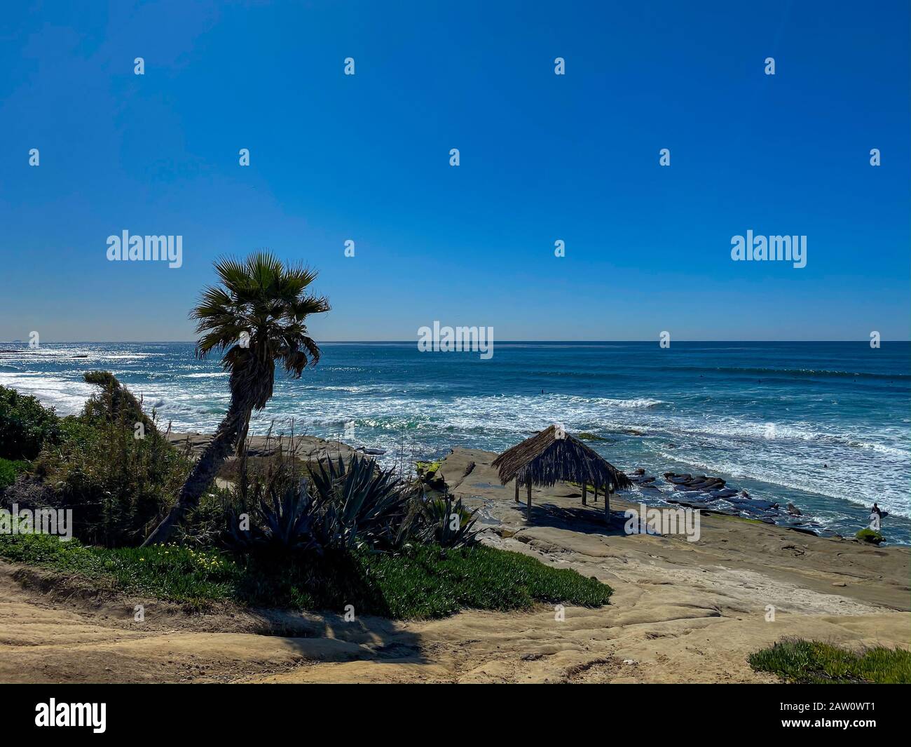 Windansea beach surf hi-res stock photography and images - Alamy
