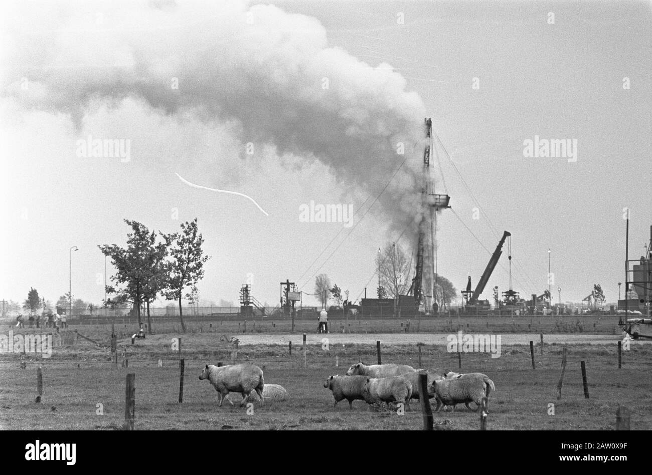 Oil Fountain in Schoonebeek (Drenthe); pastures with background the ...