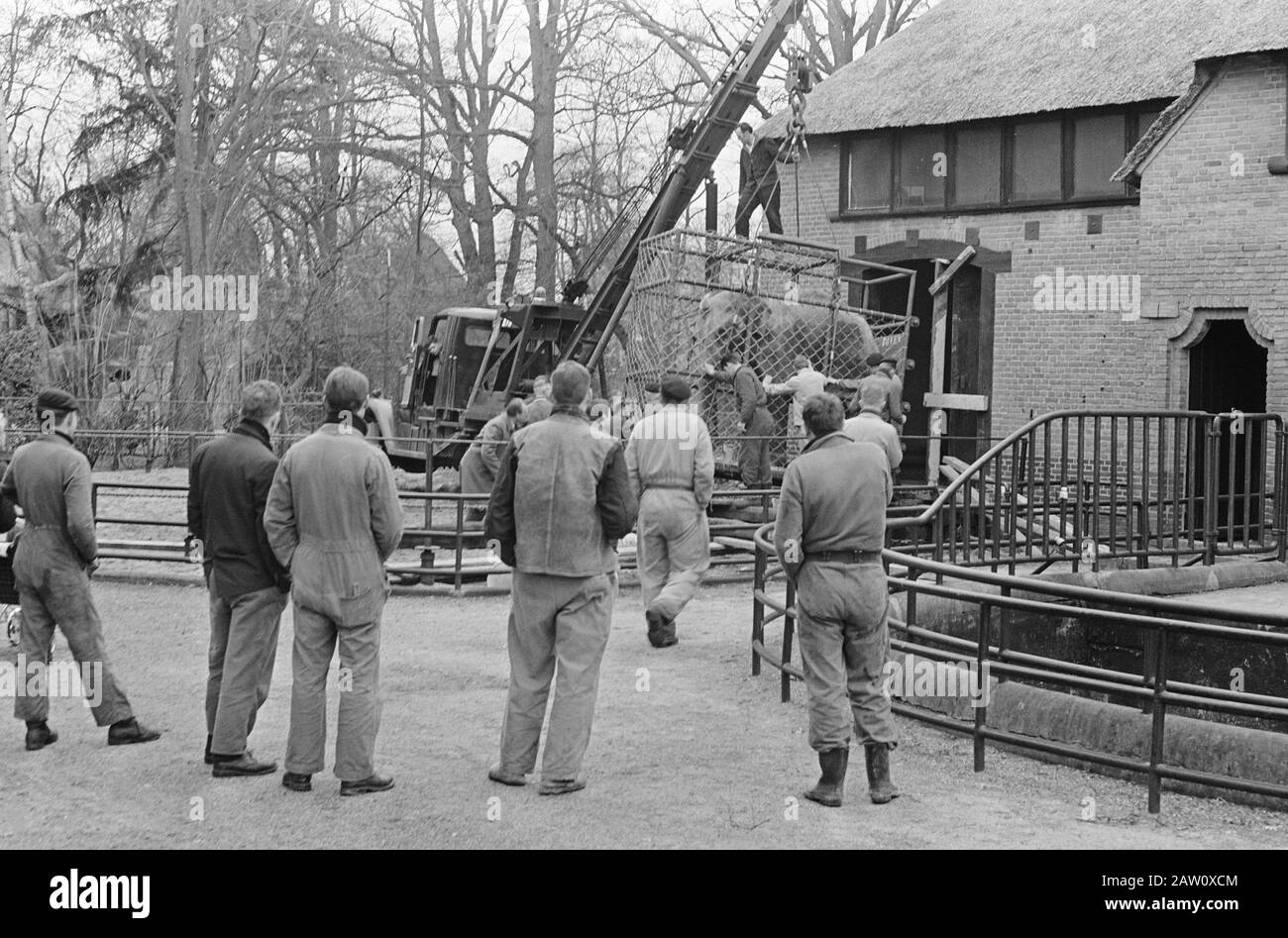 Elephant Barbara from Emmen to Artis Amsterdam, transport Date: June 5 ...