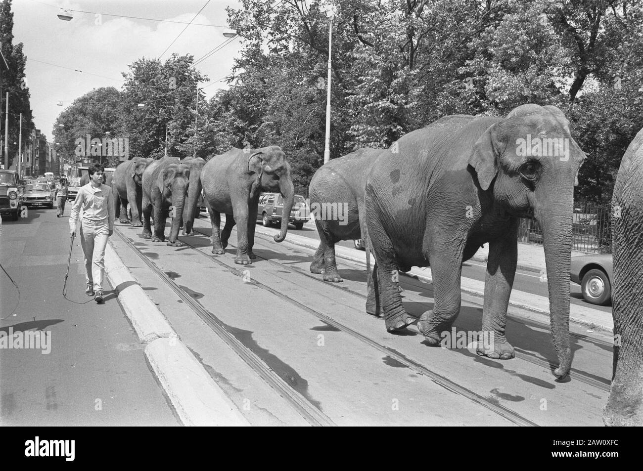 Circus althoff walk hi-res stock photography and images - Alamy