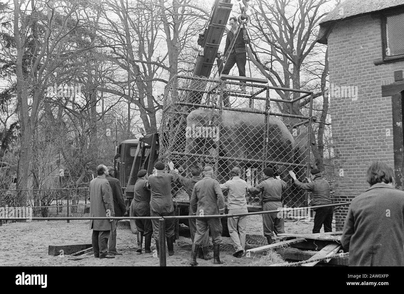 Elephant Barbara from Emmen to Artis Amsterdam, transport Date: June 5 ...