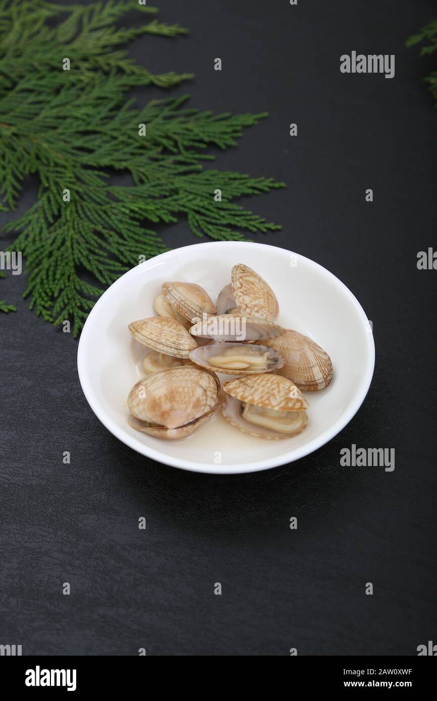 Japanese asari clam hi-res stock photography and images - Alamy