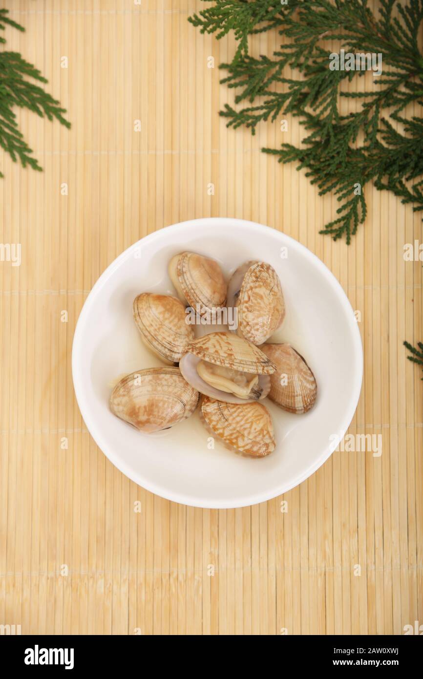 Japanese asari clam hi-res stock photography and images - Alamy