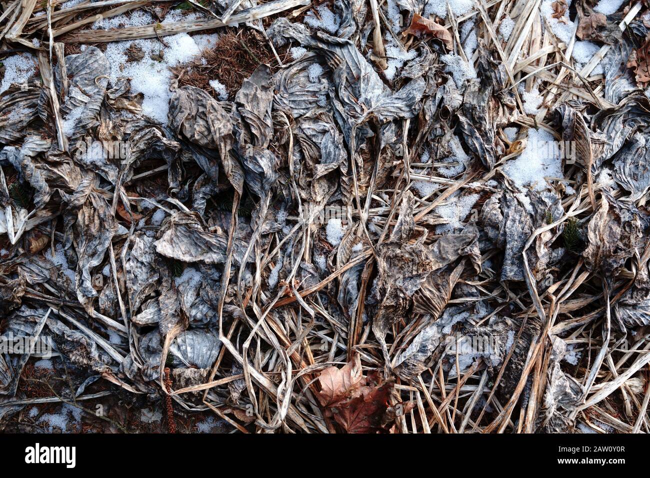 Environmental theme hi-res stock photography and images - Alamy